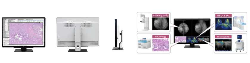 Monitores JVC - ITMATION